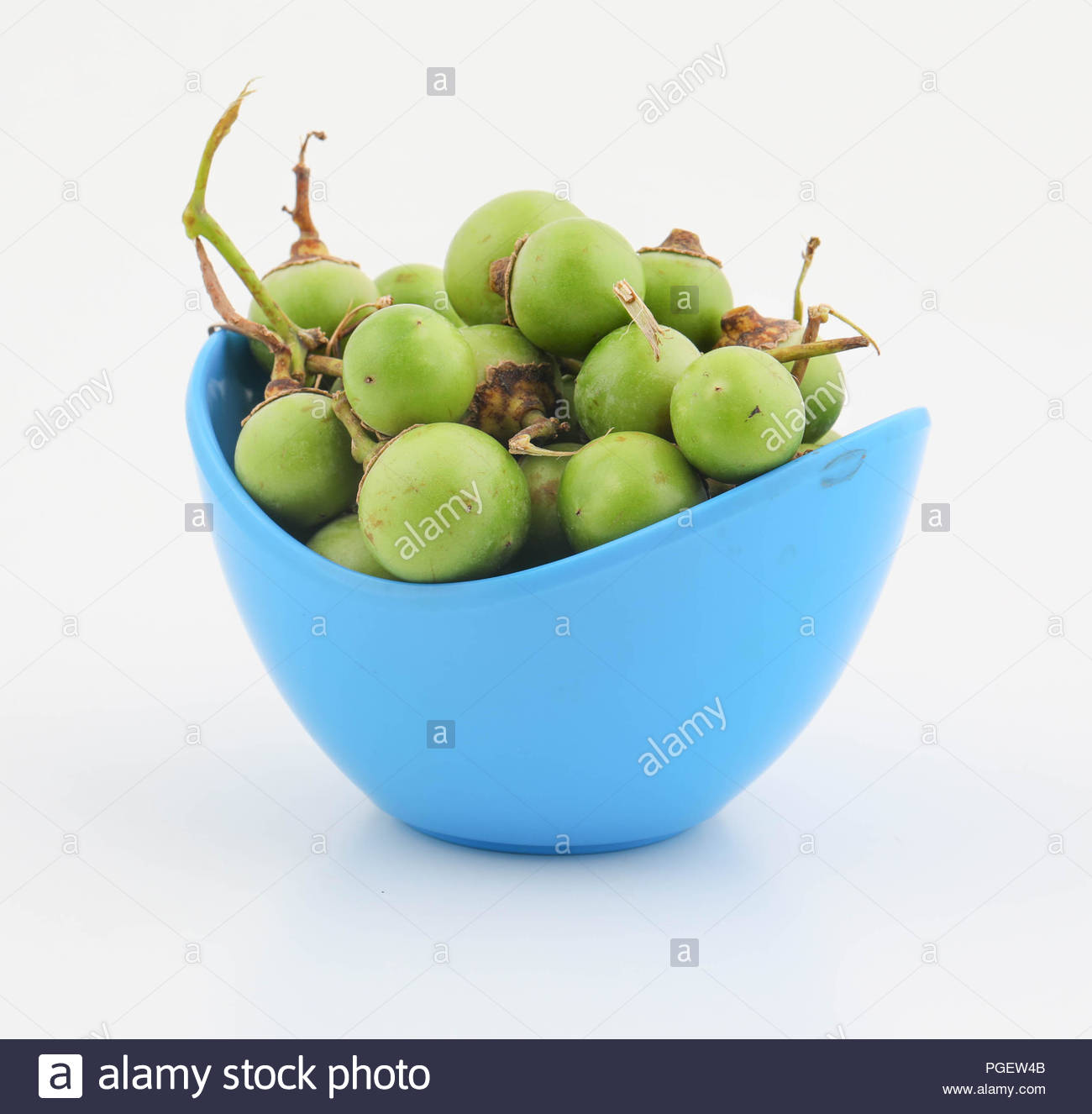 Cordia Myxa High Resolution Stock Photography and Images - Alamy