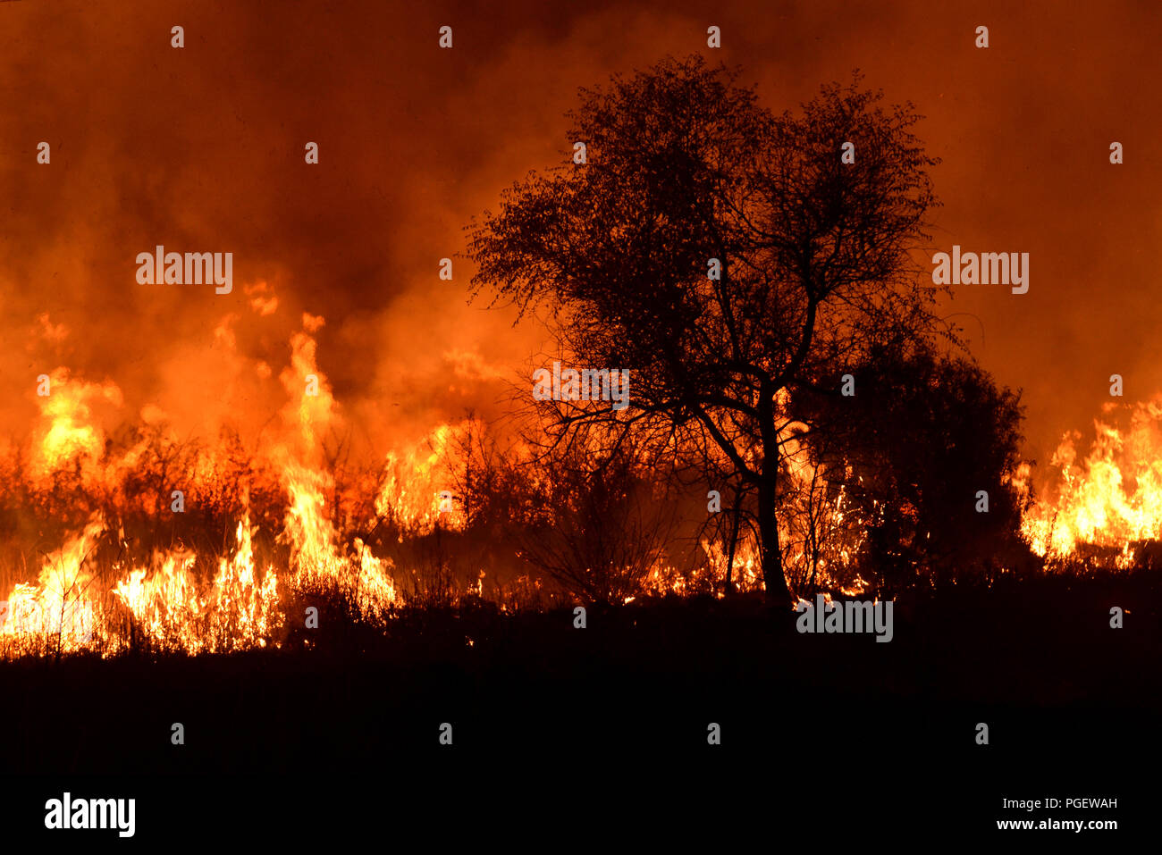 Veld fire hi-res stock photography and images - Alamy