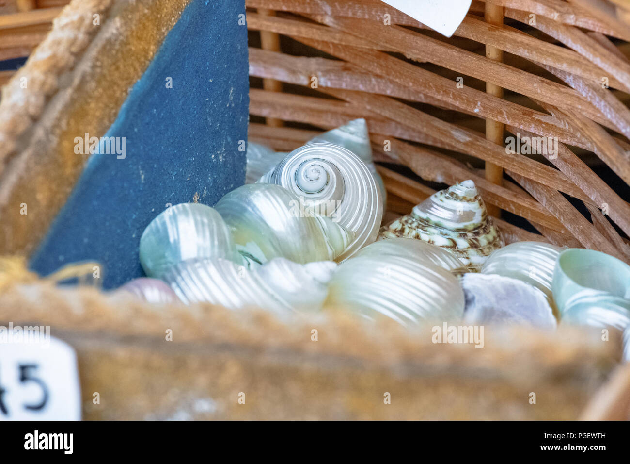 Mixed collection of sea shells at local market Stock Photo - Alamy