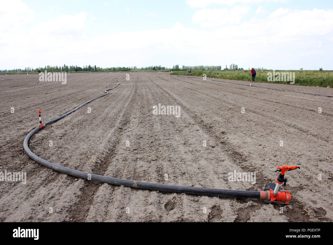 Automatic watering systems hi-res stock photography and images - Alamy