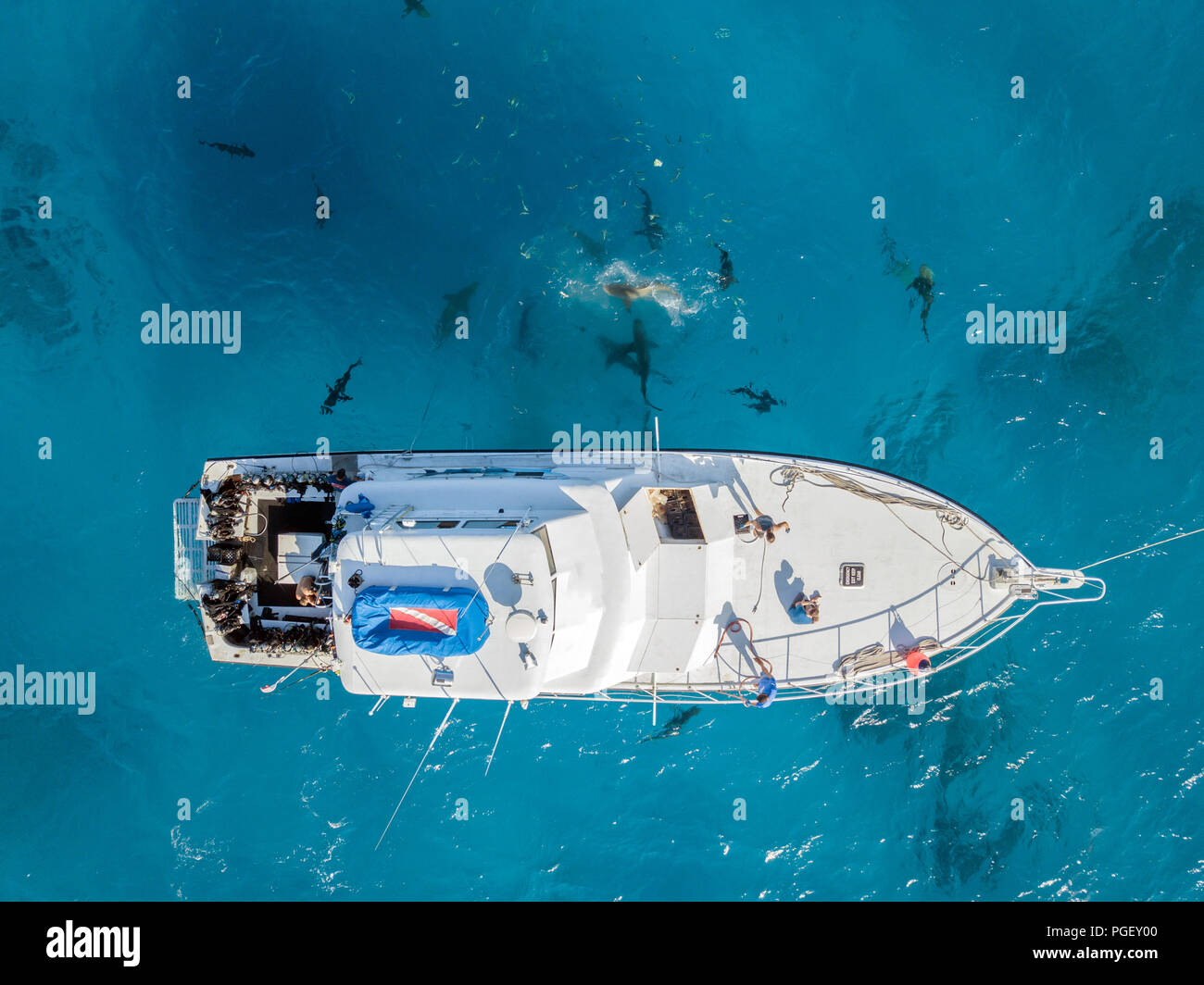 Shark drone hi-res stock photography and images - Alamy