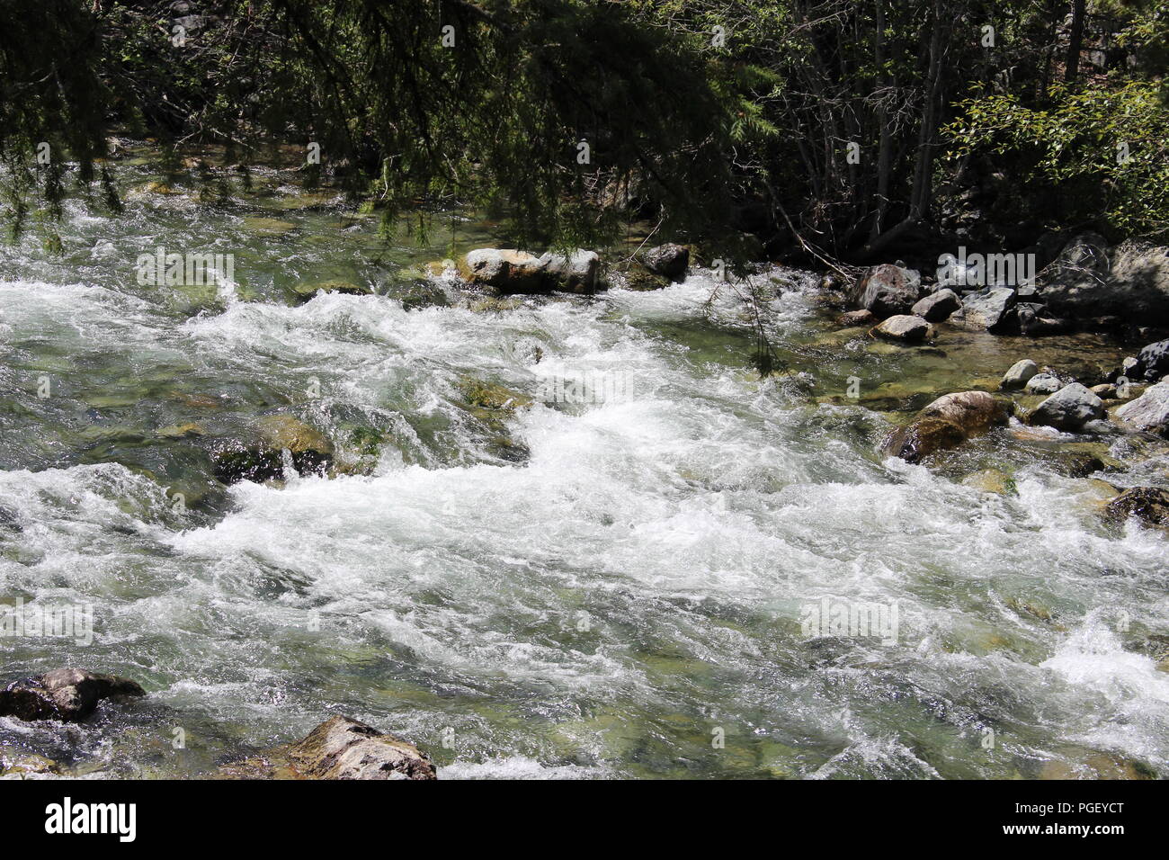 Okanogan-Wenatchee National Forest, Cascade Range, Washington, USA ...