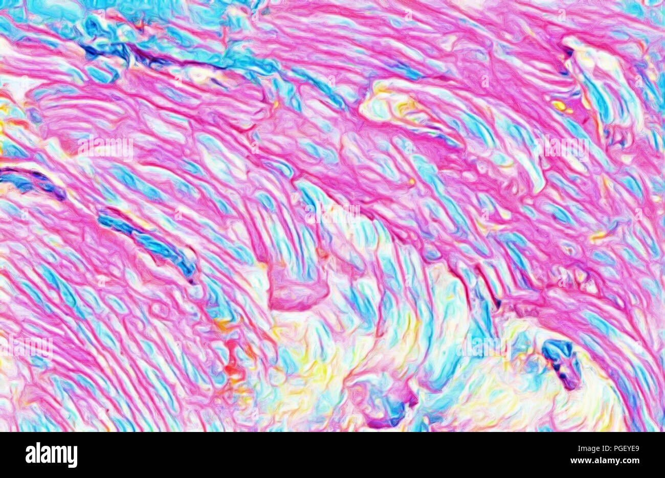 Abstraction painted in oil. Colorful texture background. Multicolored ...