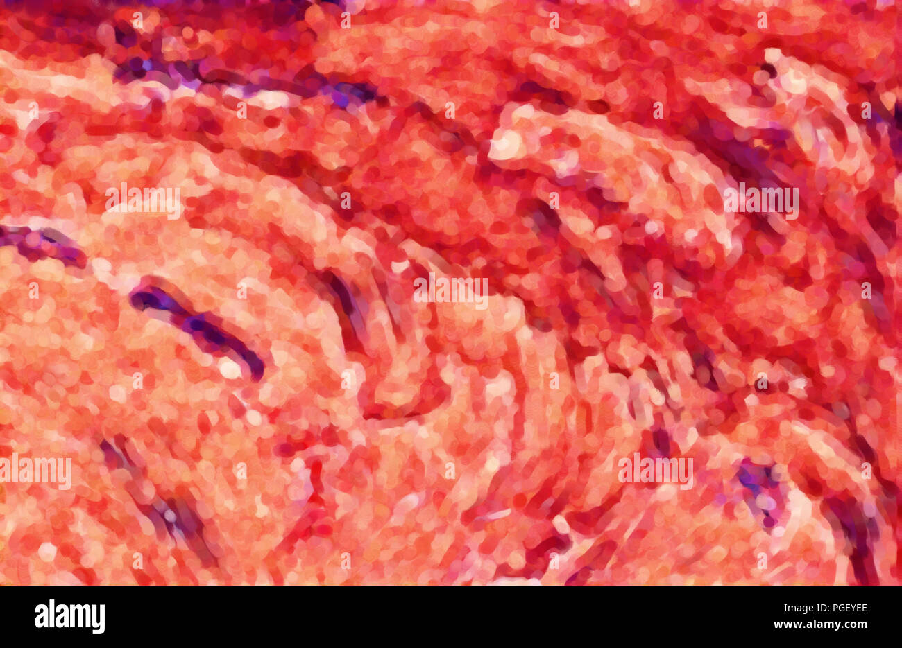 Abstraction painted in oil. Colorful texture background. Multicolored ...