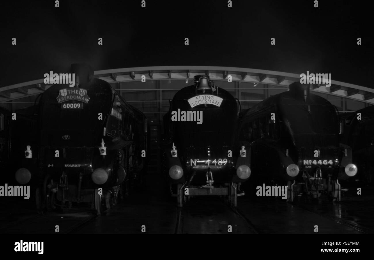 The Great Gathering Stock Photo - Alamy