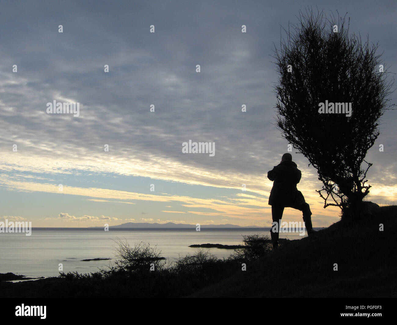 A male photographer stands beneath a tree and looks out across Wigtown ...
