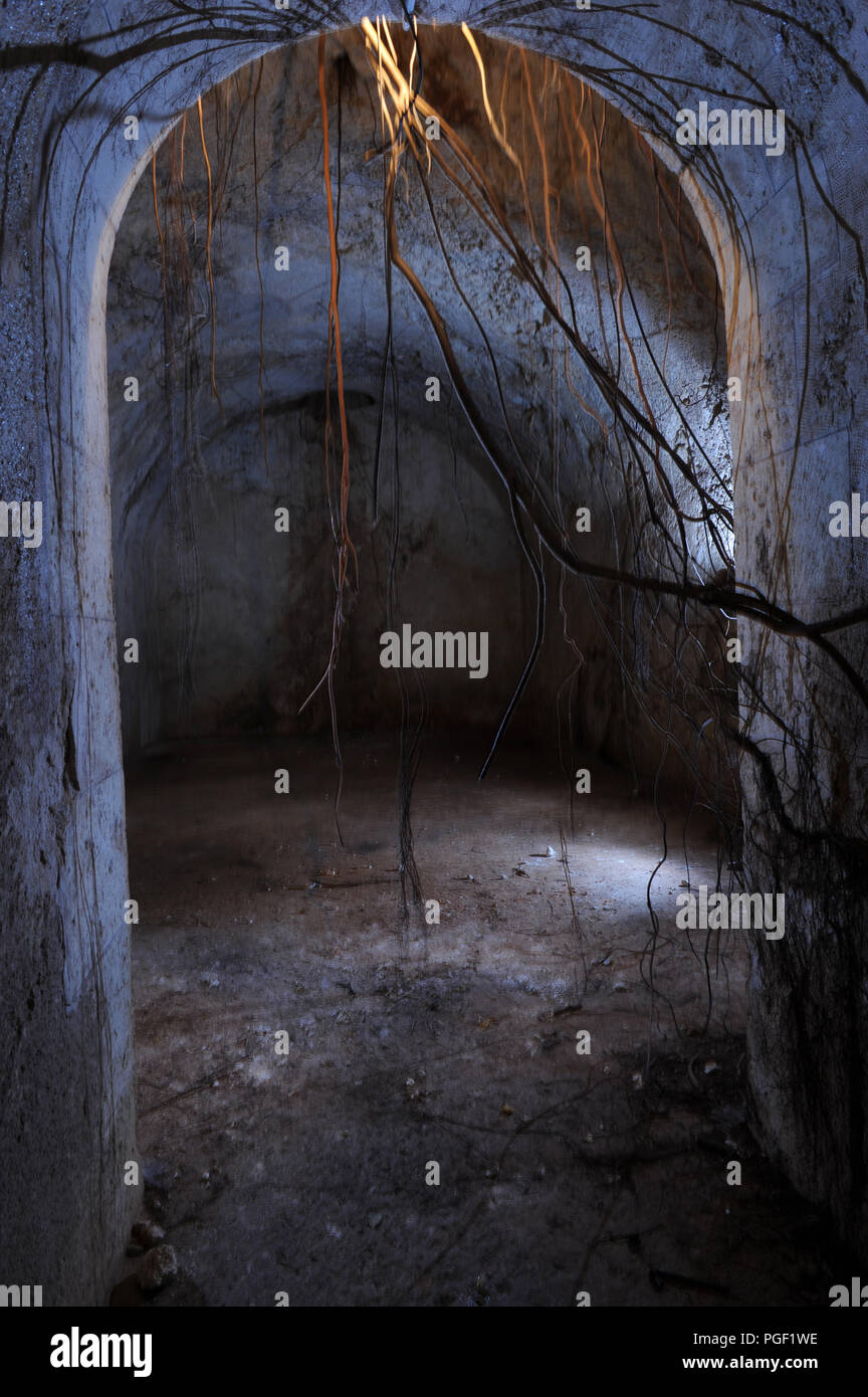 Underground cell hi-res stock photography and images - Alamy