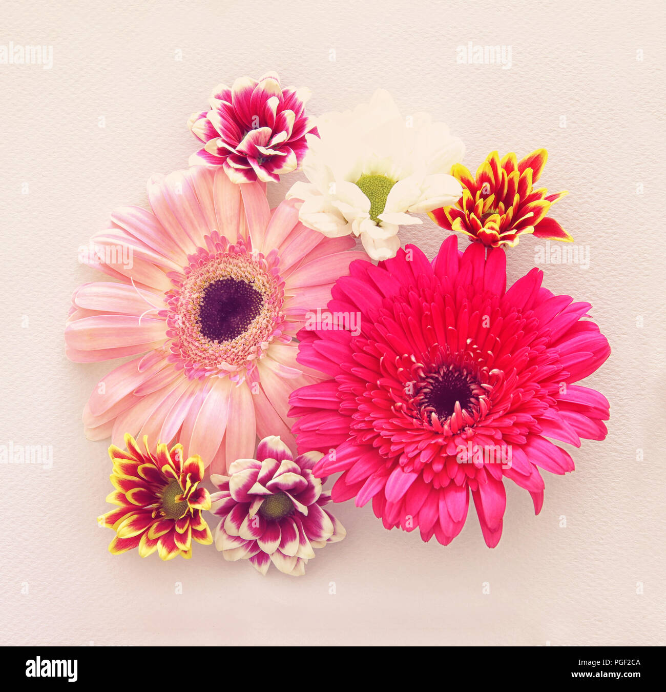 Top view of flowers arrangement over white background. Copy space Stock ...