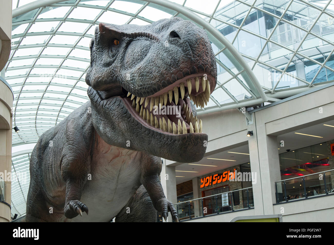 Tyrannosaurus rex open mouth in hi-res stock photography and images - Alamy