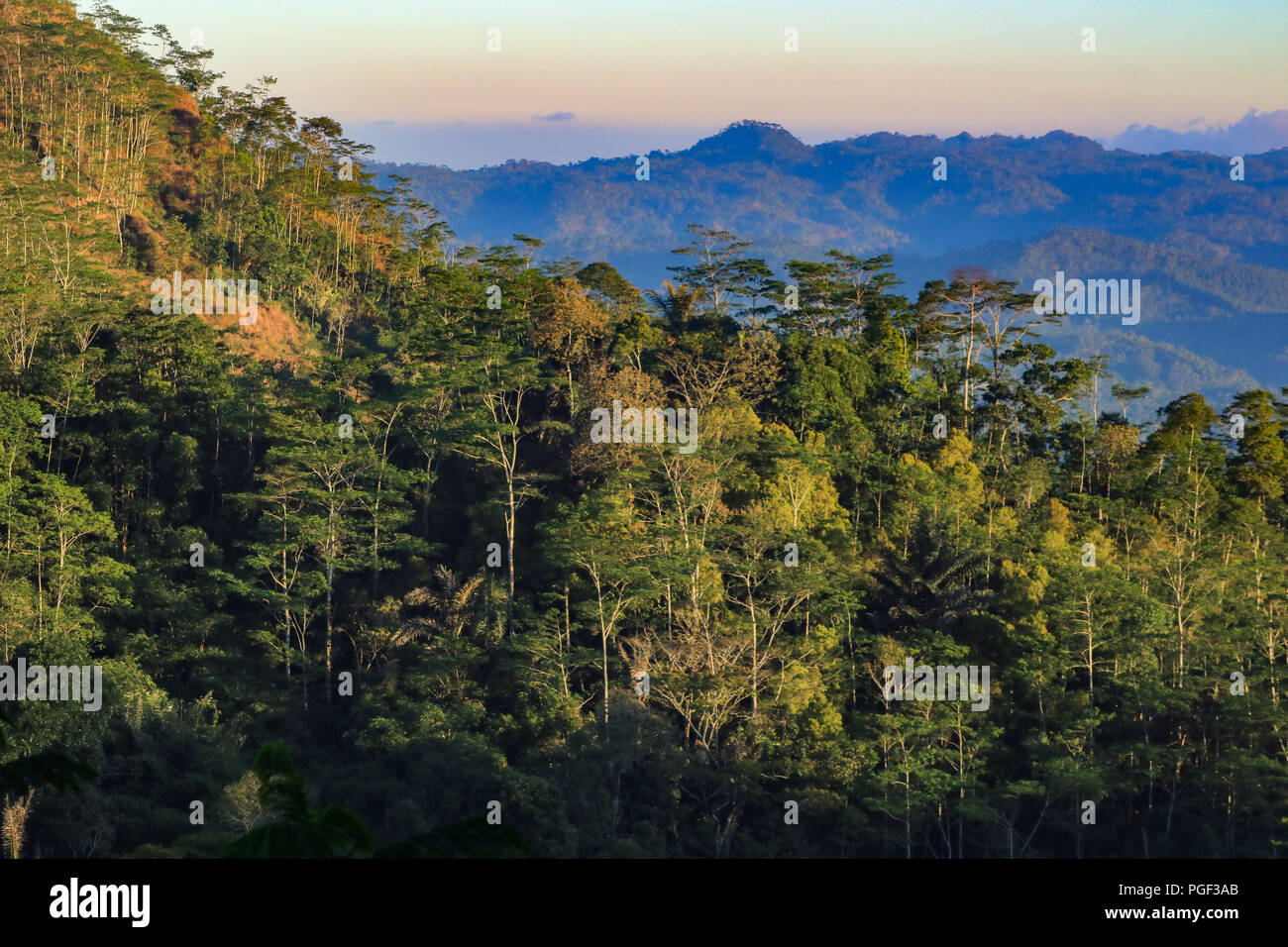 Mbah marijan hi-res stock photography and images - Alamy