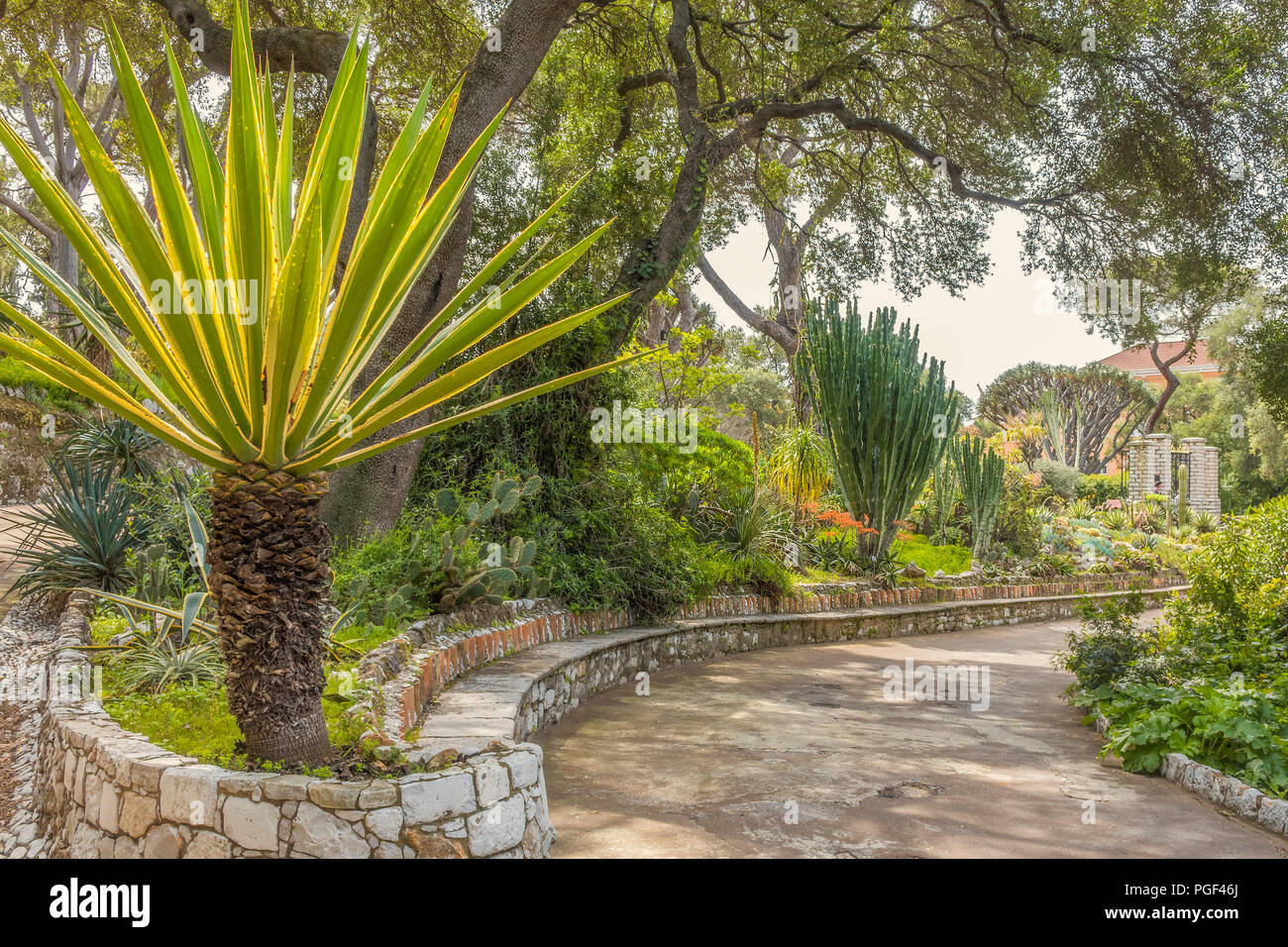 Alameda gardens gibraltar hi-res stock photography and images - Alamy