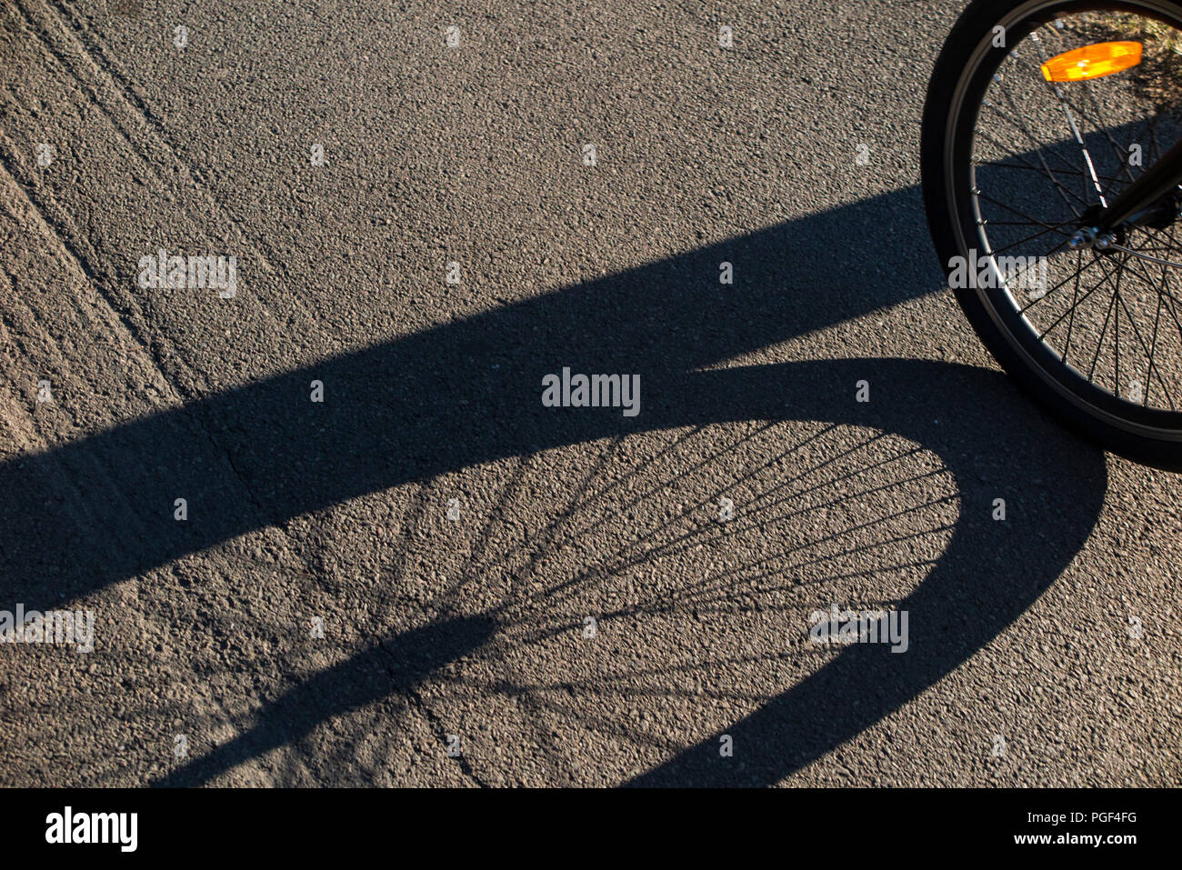 A Chopper bicycle wheel and reflector create a shadow in the evening ...