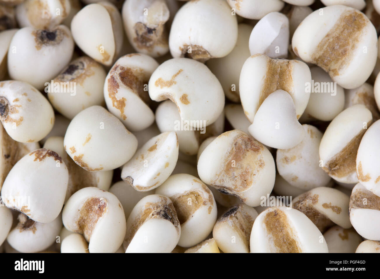 Millet fruit nuts hi-res stock photography and images - Alamy