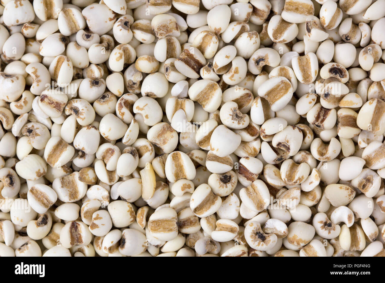 Millet fruit nuts hi-res stock photography and images - Alamy