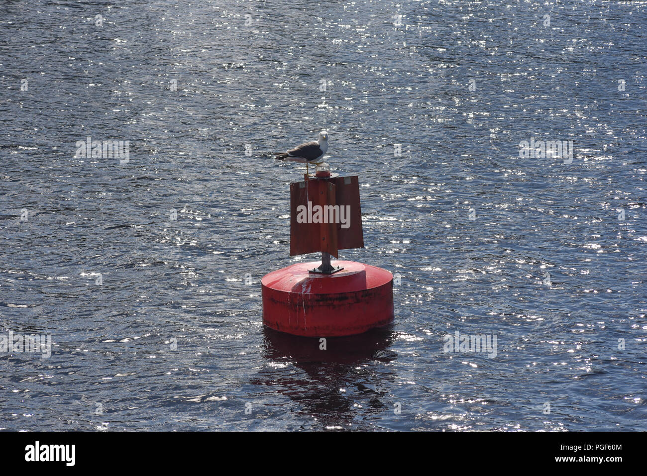 Flight over alexandria park in hi-res stock photography and images - Alamy