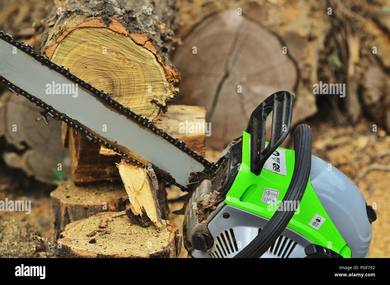 Saw logs hi-res stock photography and images - Alamy