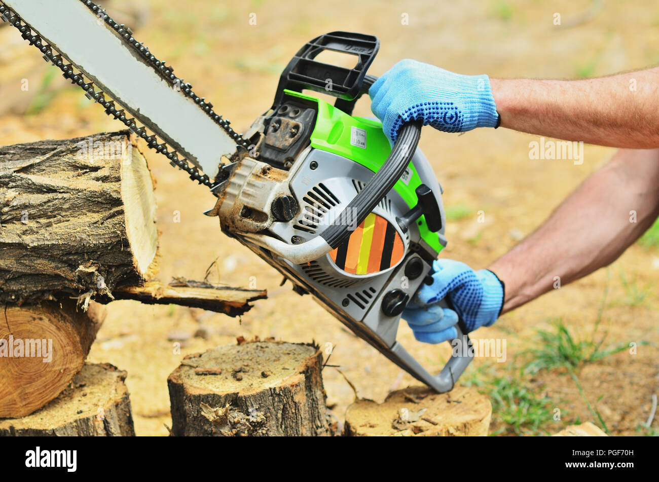 A man saws chainsaws from a tree, works in mittens Stock Photo - Alamy