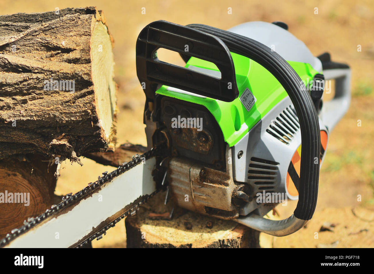 The chainsaw lies on the stumps in the off condition, the photo is ...