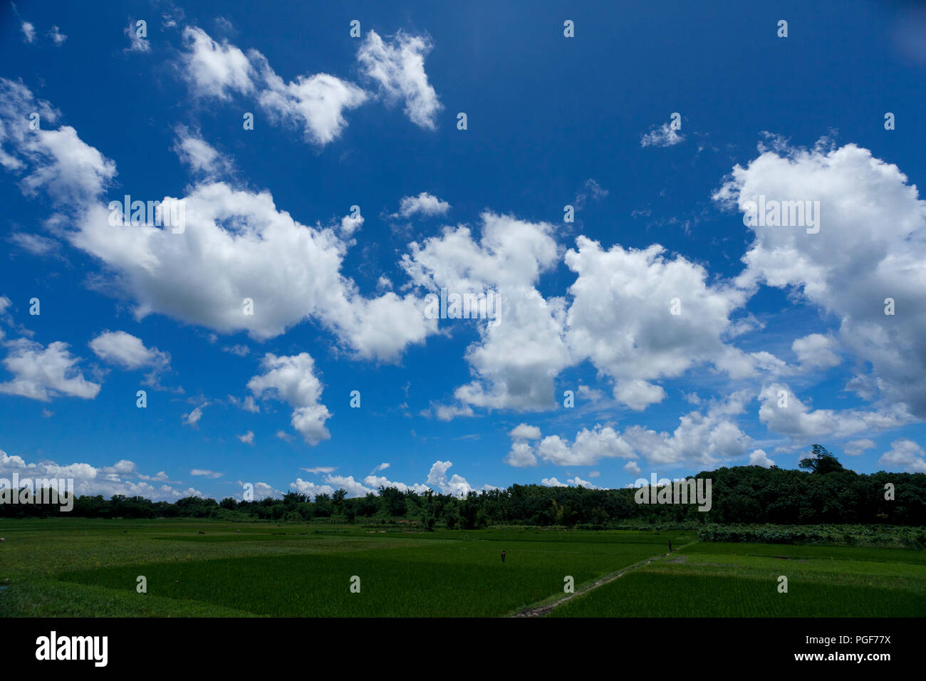 Bangladesh beautiful scenery hi-res stock photography and images - Alamy