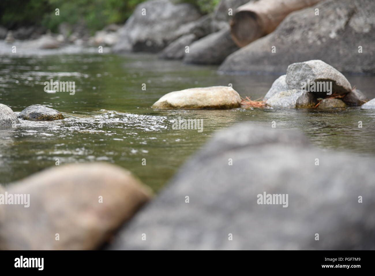 rock in peaceful river Stock Photo - Alamy