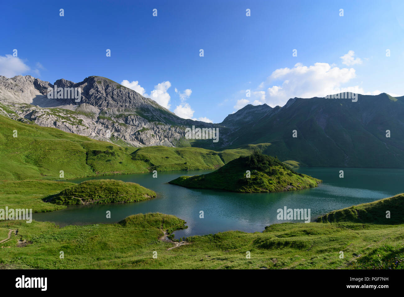 Allgäuer Alpen: lake Schrecksee, flower flowers, alp, Schwaben, Allgäu ...