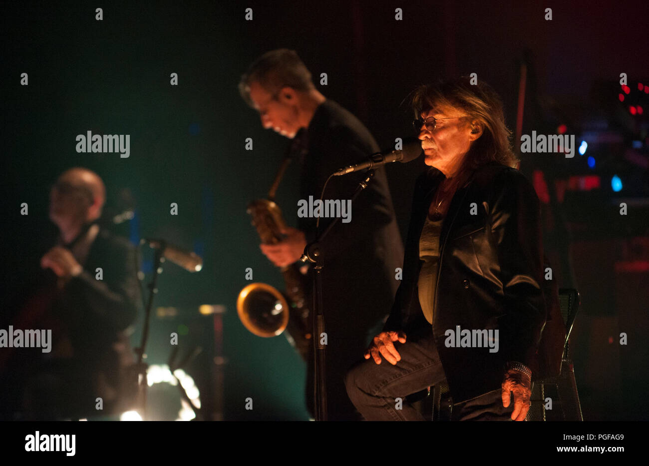 Concert of the French singer Christophe at the Cirque Royal, Brussels ...