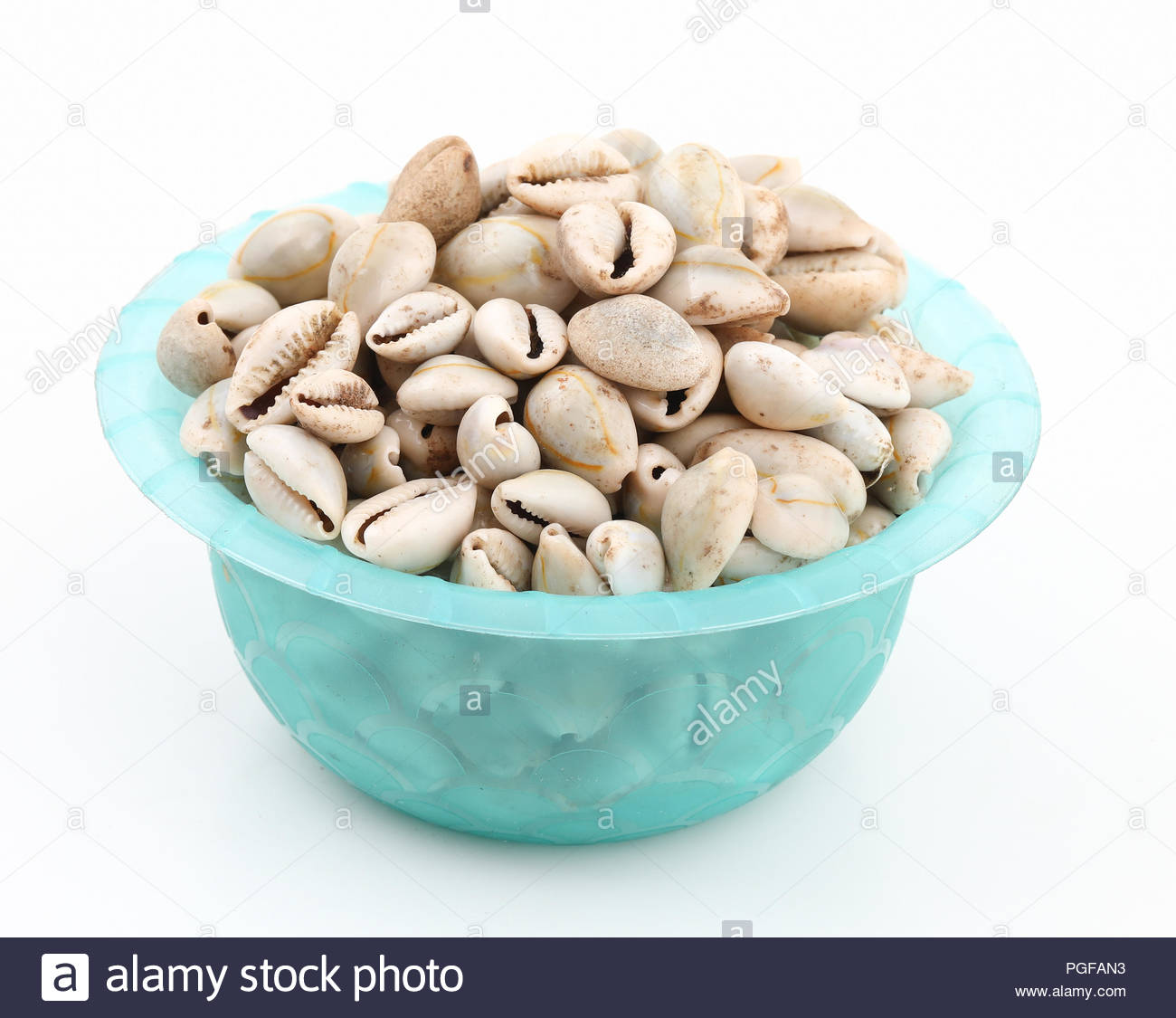 Indian Ocean Shells High Resolution Stock Photography and Images - Alamy