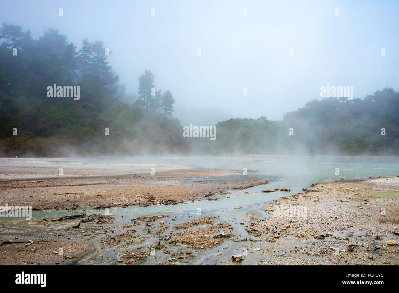 Wai-O-Tapu (Sacred Waters) geothermal volcanic park. Steaming landscape ...