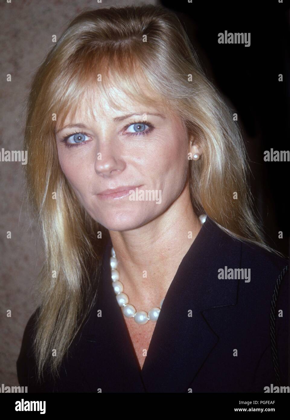 Cheryl Tiegs 1988 Photo By Adam Scull/PHOTOlink.net /MediaPunch Stock ...