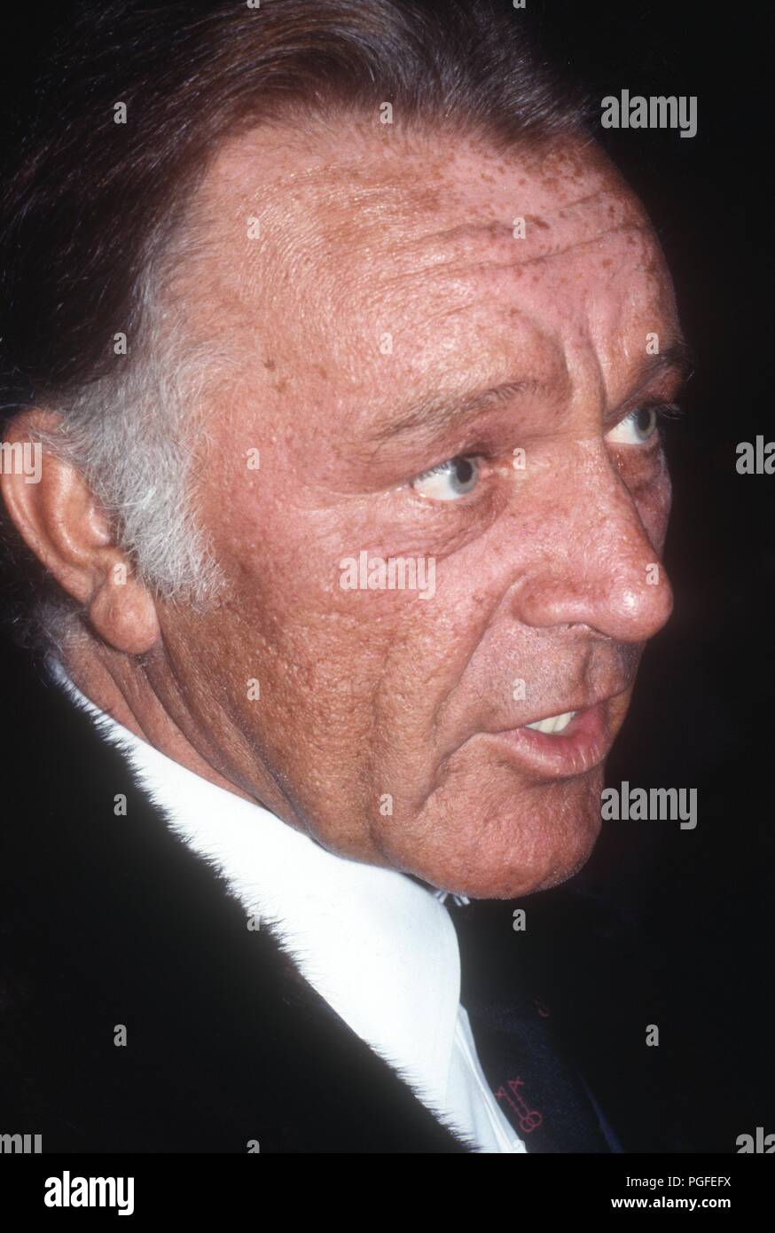 Richard Burton 1978 Photo By Adam Scull/PHOTOlink.net /MediaPunch Stock ...