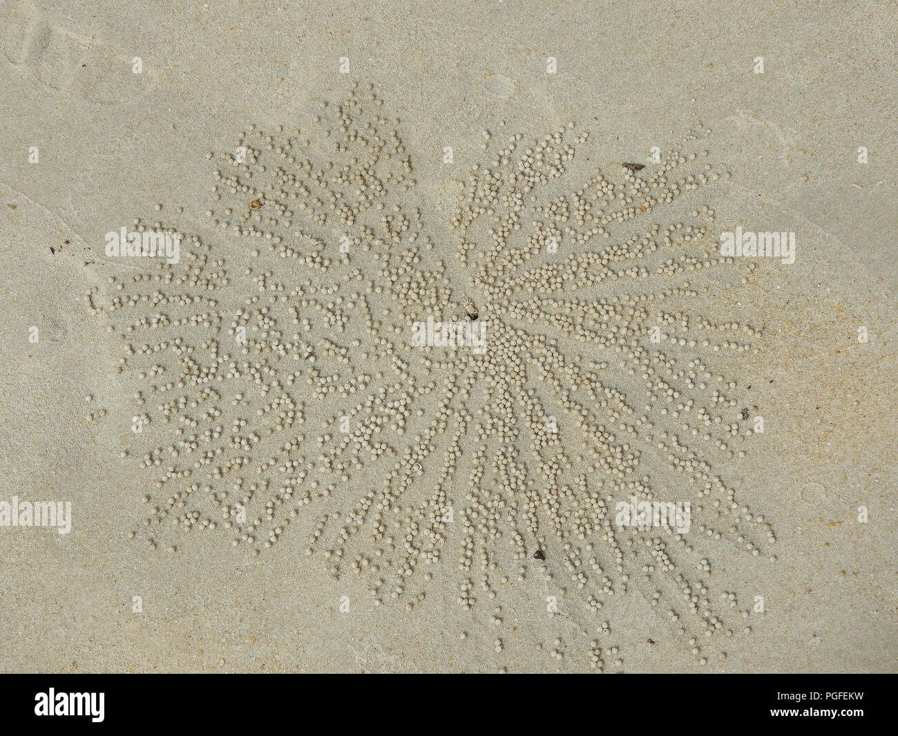 Intricate radial pattern of sand balls, generated by a Sand Bubbler or ...