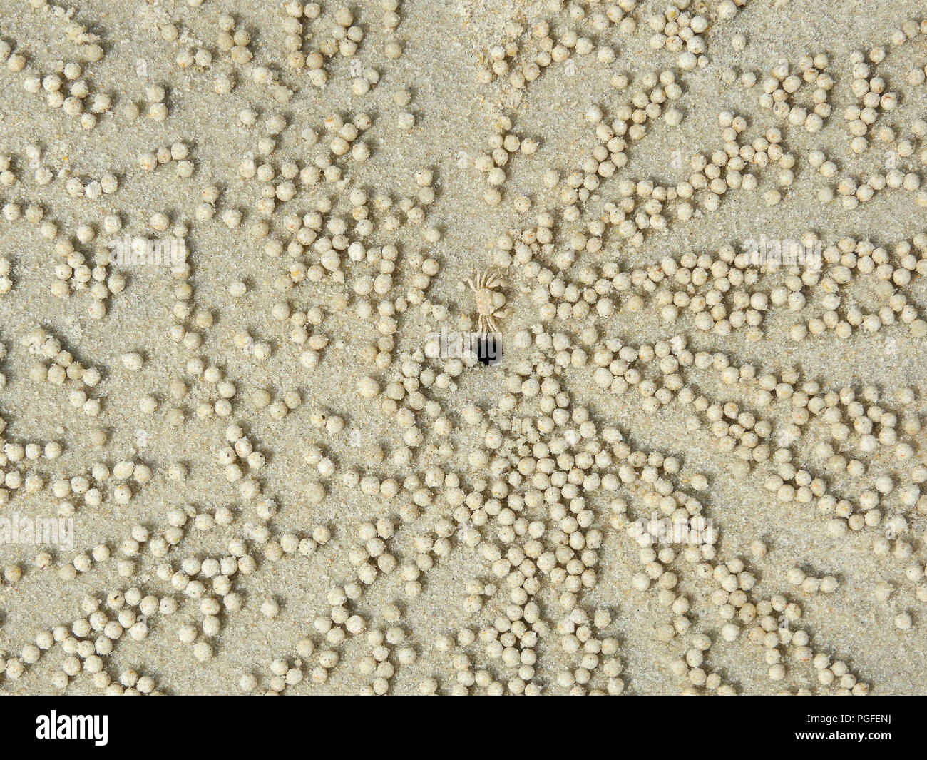 Intricate radial pattern of sand balls, generated by a Sand Bubbler or ...
