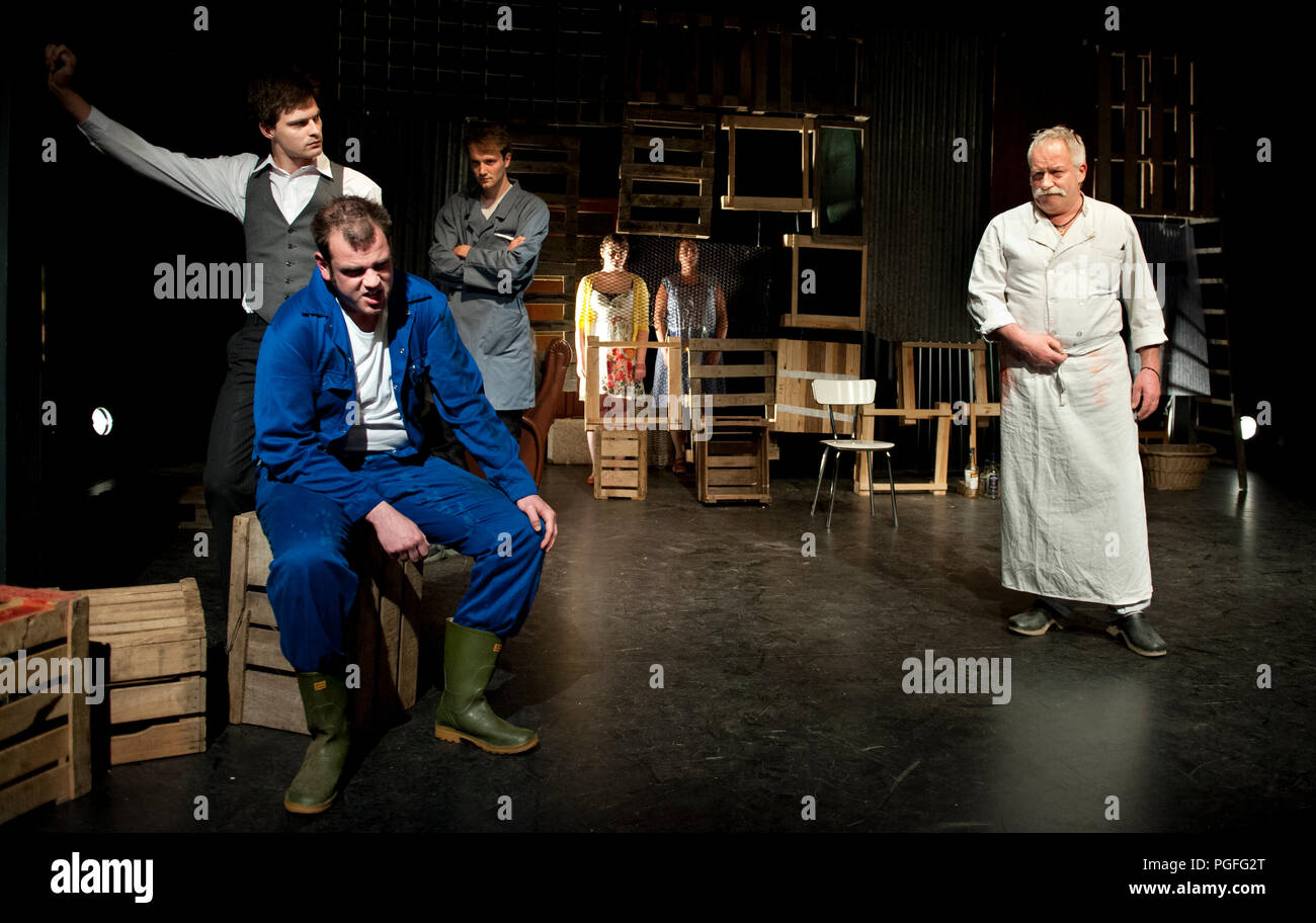 Sanne op de beeck hi-res stock photography and images - Alamy