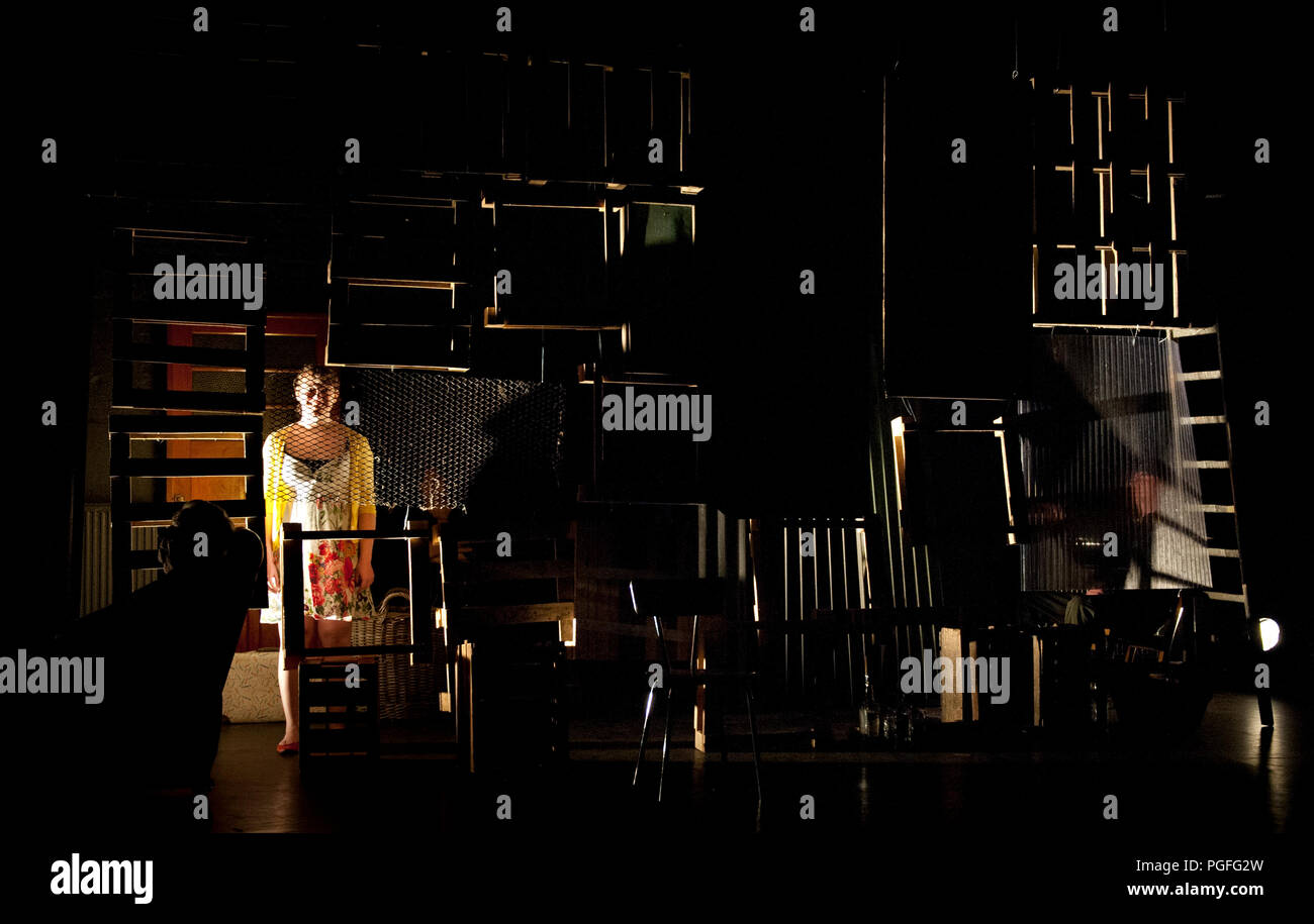 Barbara vandendriessche hi-res stock photography and images - Alamy