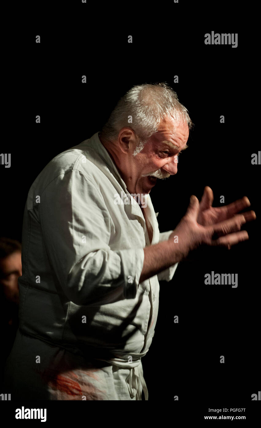 Barbara vandendriessche hi-res stock photography and images - Alamy