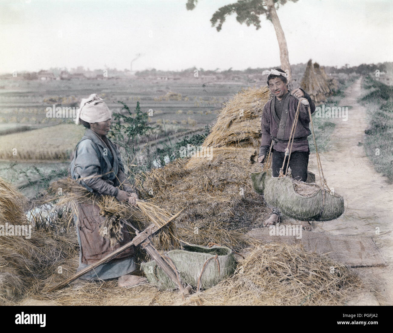 [ c. 1890s Japan - Japanese Farmers Threshing Rice ] — A woman is ...