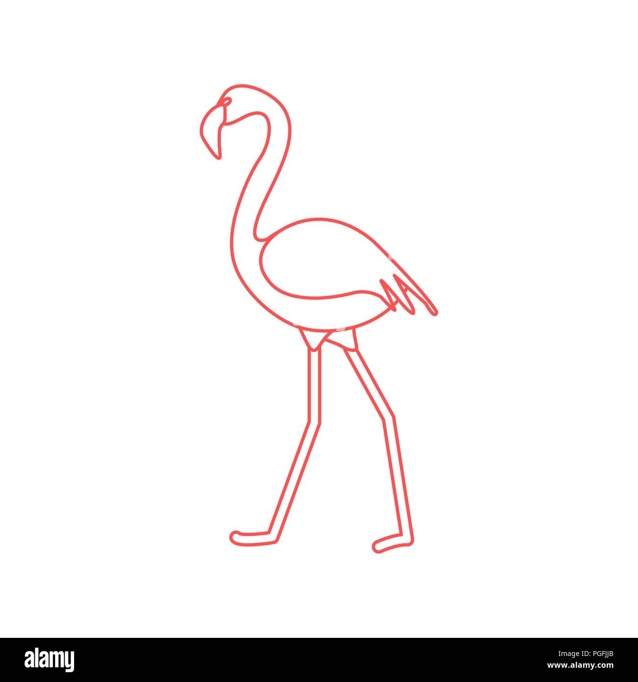 Vector illustration with Flamingo bird. Design for poster or print ...