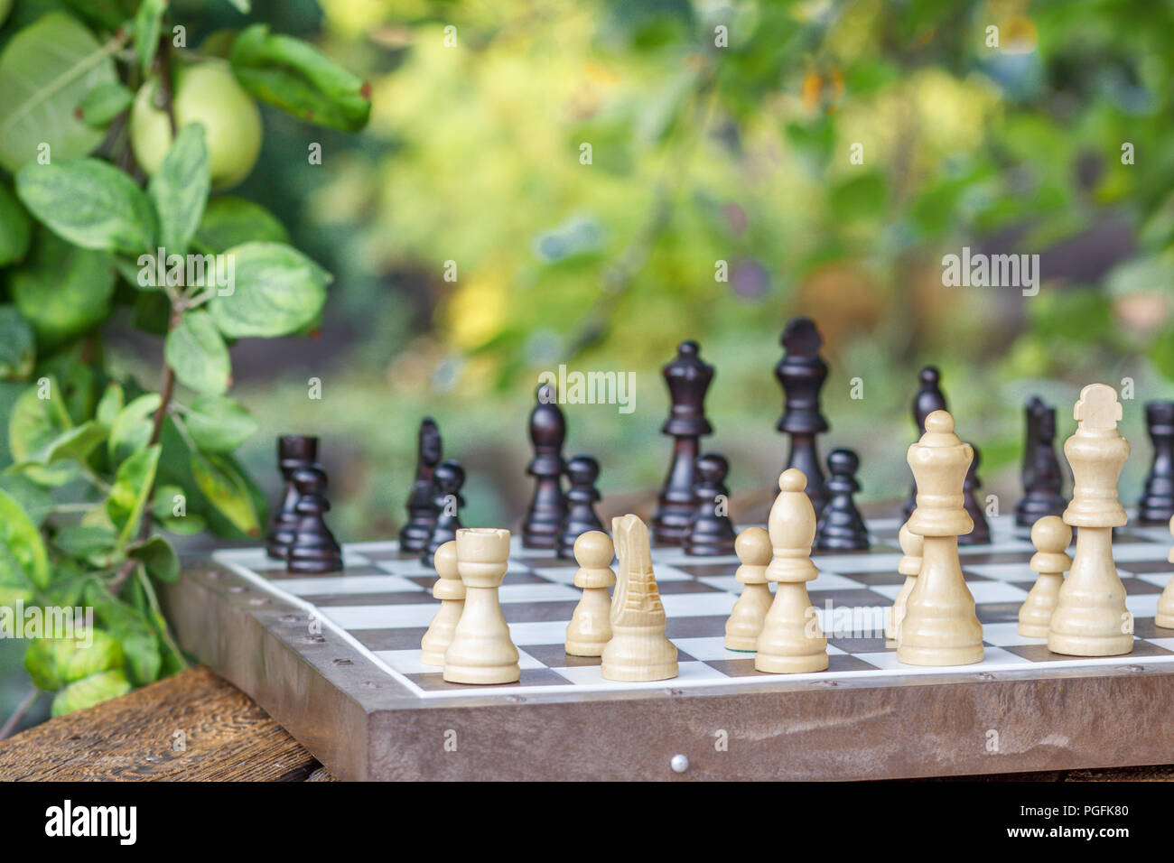 Chess board with chess pieces on desk with branches of apple tree and ...