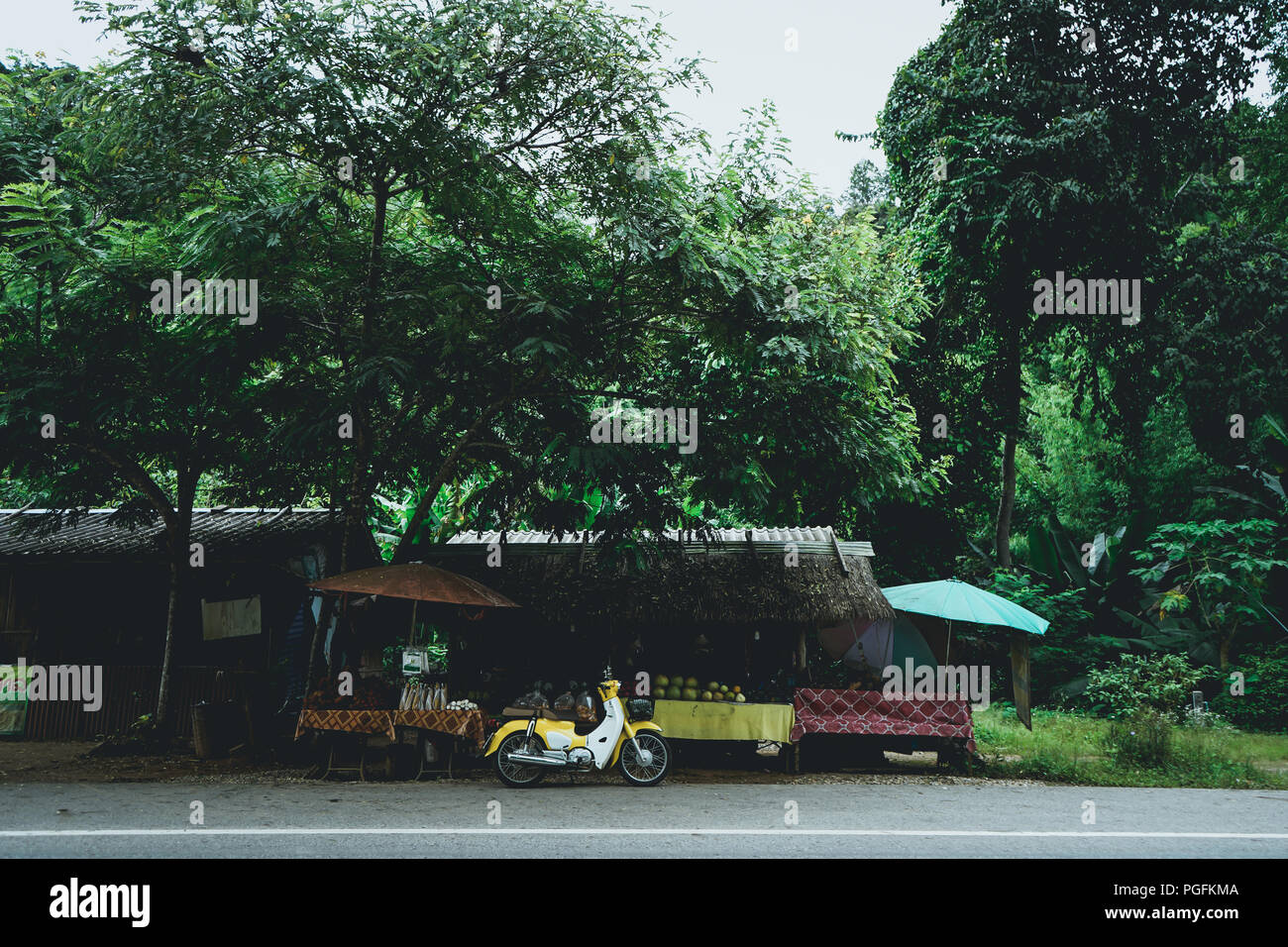 green Avocado roadside shop In Asia on the way Stock Photo - Alamy