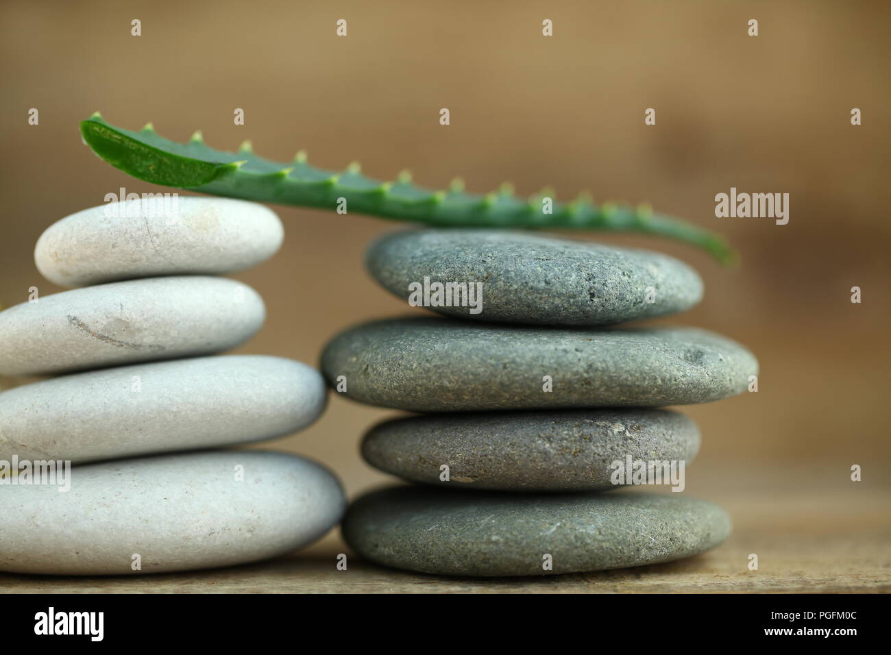 aloe oil spa therapy wood background Stock Photo - Alamy