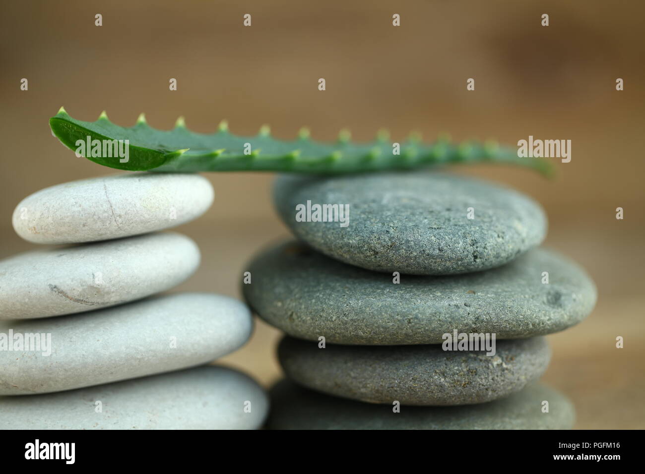 aloe oil spa therapy wood background Stock Photo - Alamy