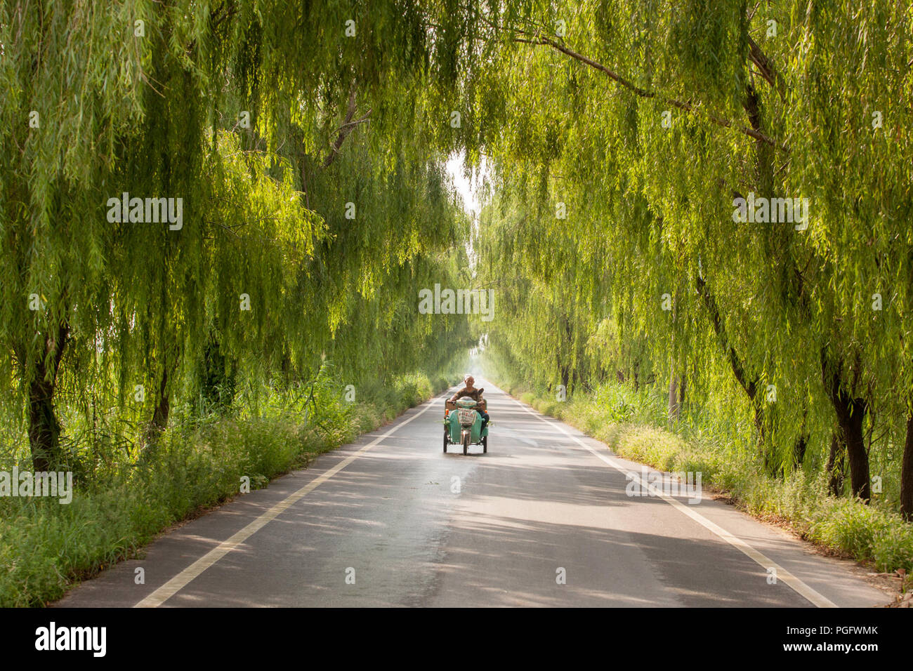 Gaoqing, China's Shandong Province. 25th Aug, 2018. A vehicle runs on a ...