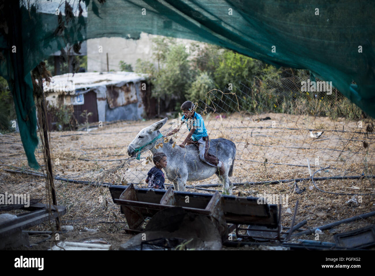 Gaza City, The Gaza Strip, Gaza. 25th Aug, 2018. Palestinian refugee ...