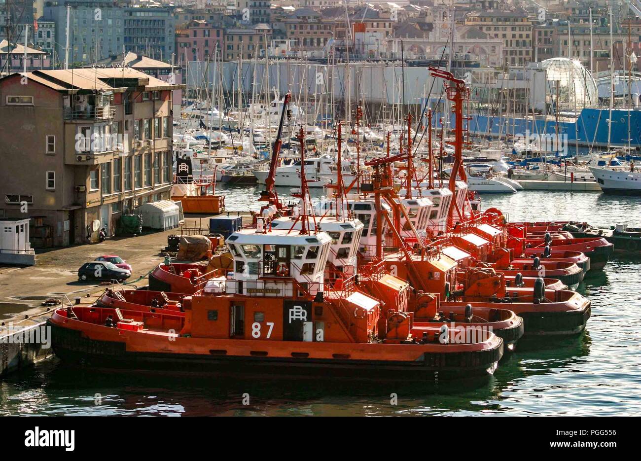 Genoa, Liguria, Italy. 16th Oct, 2004. A row of bright red towboats ...