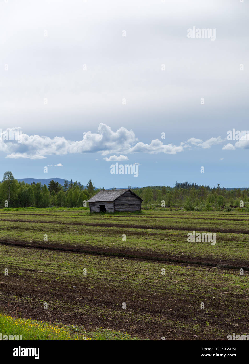 Old finnish farm house hi-res stock photography and images - Alamy