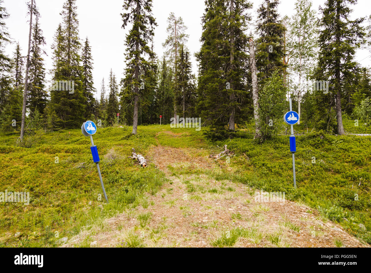 Motor sledge hi-res stock photography and images - Alamy