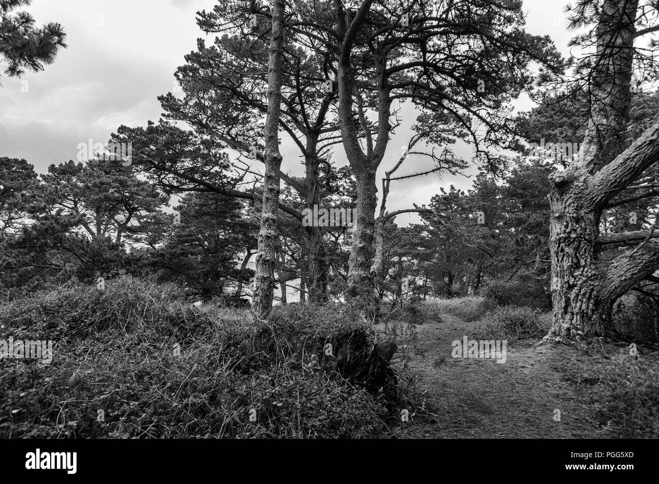 Innisidgen hi-res stock photography and images - Alamy