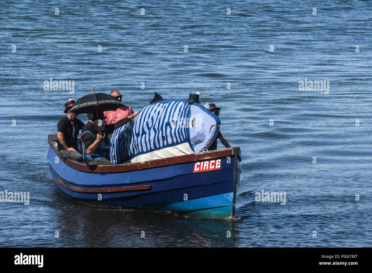 harbor Aberaeron WEST WALES UK bands and a parade led by a 20-foot fish ...