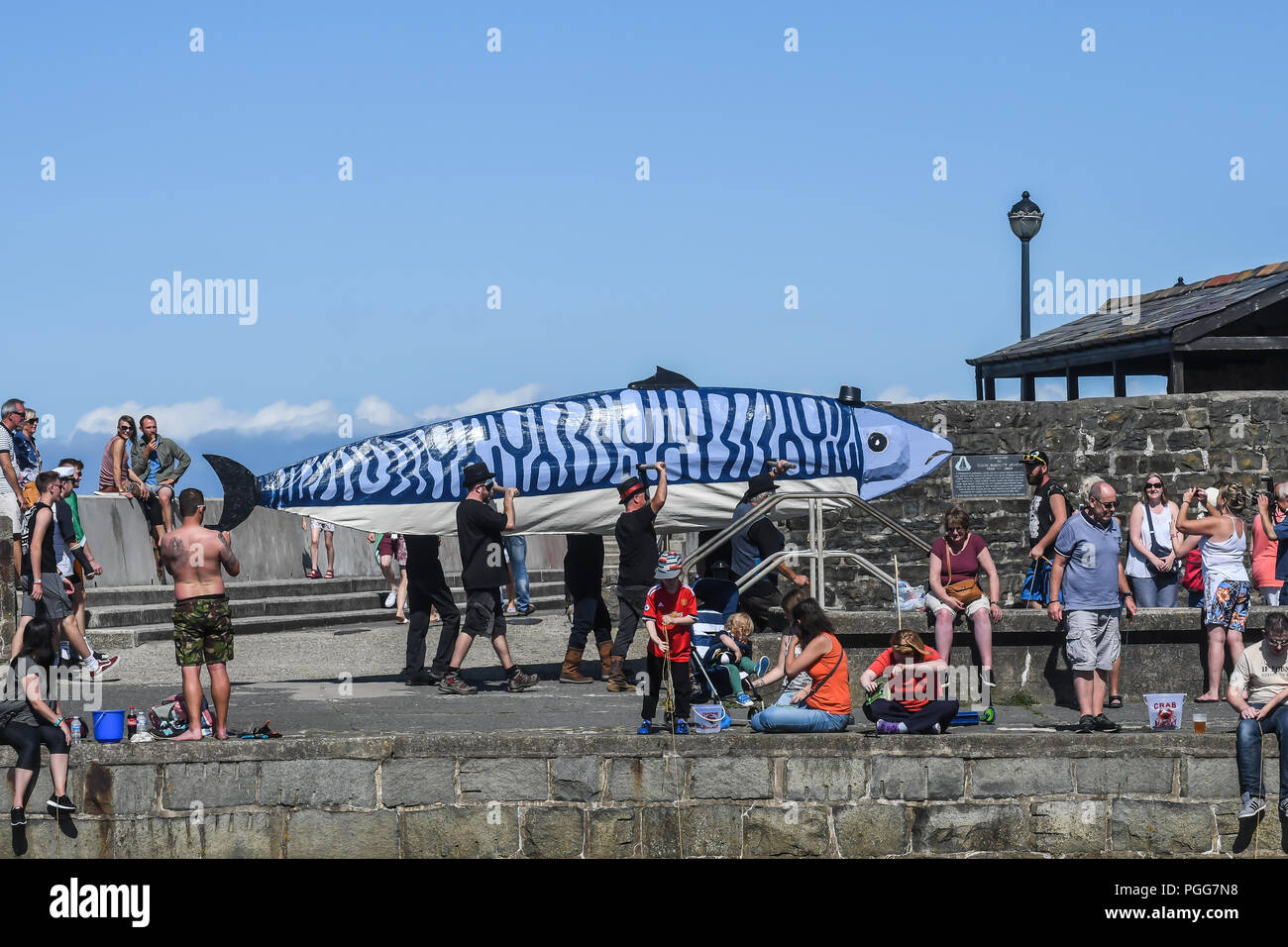 harbor Aberaeron WEST WALES UK bands and a parade led by a 20-foot fish ...