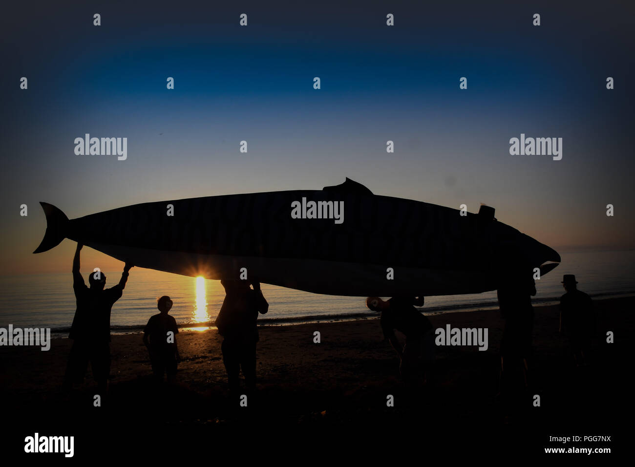 harbor Aberaeron WEST WALES UK bands and a parade led by a 20-foot fish ...